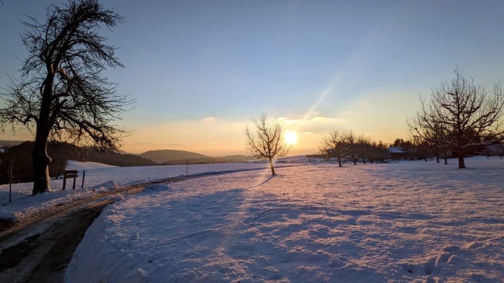 Uetliberg wandern | Uetliberg - Felsenegg - Albispasshöhe